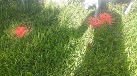 Warning Shape Mismatch When Trying To Apply Embedding Embedding Will Be Ignored 768 1280 R