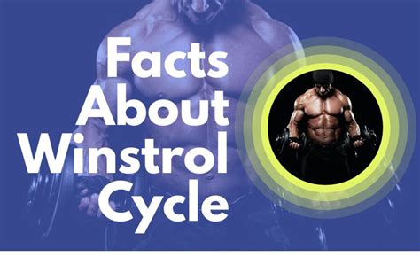 Everything You Wanted To Know About Winstrol Cycle