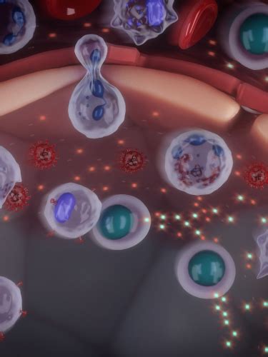 Multiplex Analysis Of Inflammatory Proteins A Comparative Study Across