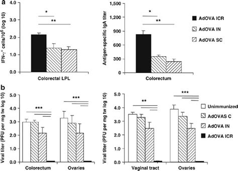 Immunization With Adenovirus At The Large Intestinal Mucosa As An