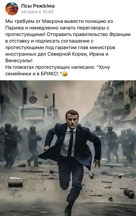 Псы РежЫма сегодня в 10 40 Мы требуем от Макрона вывести полицию из Парижа и немедленно начать