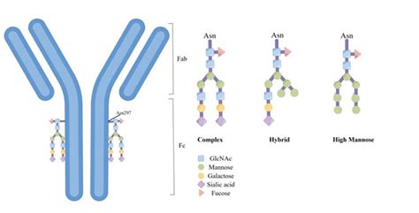 Journal Of Biomedical Science And Research