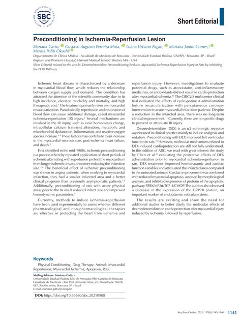 Pdf Preconditioning In Ischemia Reperfusion Lesion