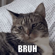 Bruh Meme S Tenor