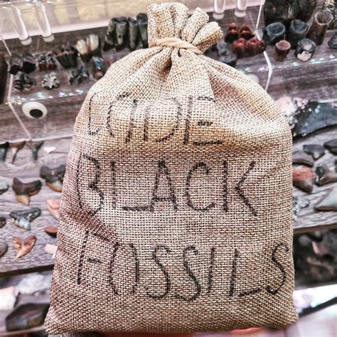 Explorer Pack Code Black Fossils