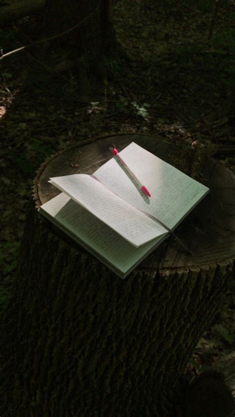 Writing Aesthetic Cute Notebooks For Creative Inspiration