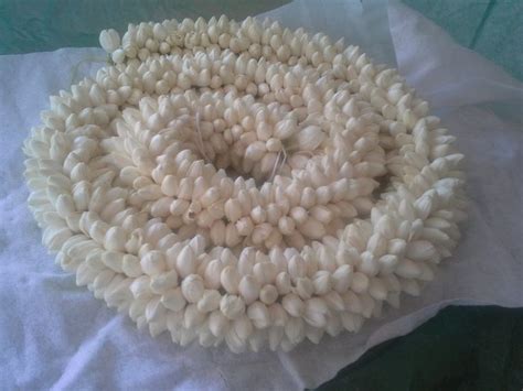 Double Pikake Lei Pikake Flower Lei White Pikake Lei Hawaiian Leis