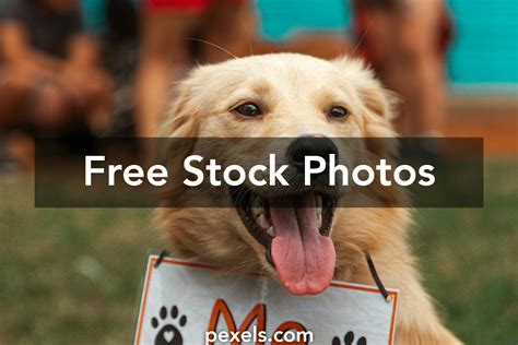 Animecameltoe Photos Download The Best Free Animecameltoe Stock