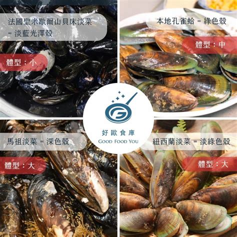 淡菜為何叫「淡菜」？ 西式淡菜、孔雀蛤、馬祖淡菜有什麼不同，要怎麼分辨呢？｜好歐食庫 好歐食庫 Good Food You