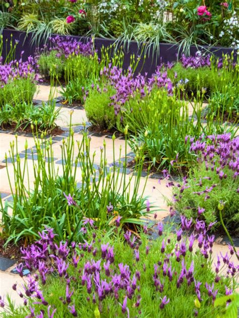 Improve Biodiversity Flip A Tile And Plant A Perennial