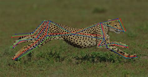 Researchers Use Deep Learning To Design Cheetah Inspired Robots