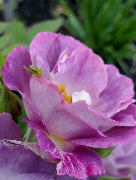 Sb Photos Stan Brown Added A Sb Photos Stan Brown