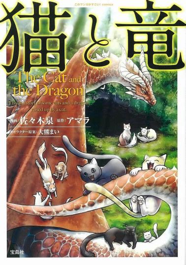 猫与龙（改编自轻小说的电视动画） 百度百科