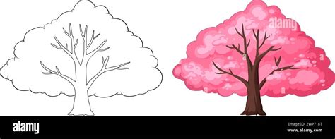 Autumn Two Trees Deciduous Stock Vector Images Alamy