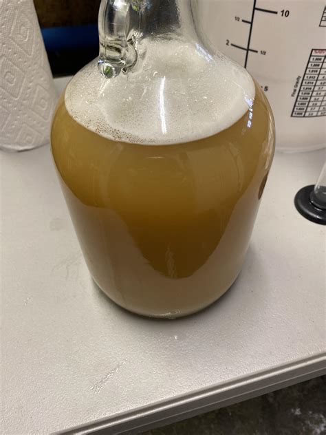 Just Took It Out Of Primary Fermentation Does This Look Ok Mead