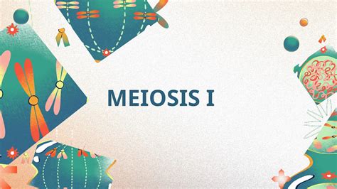 The Process Of Meiosis Also Known As Pmatpptx