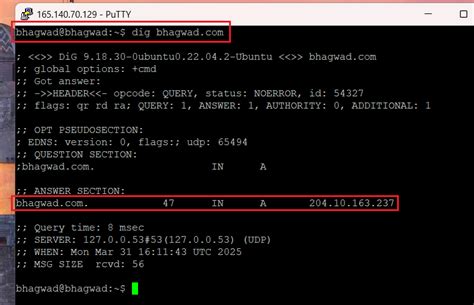 How To Use Dig To Specify A Dns Server