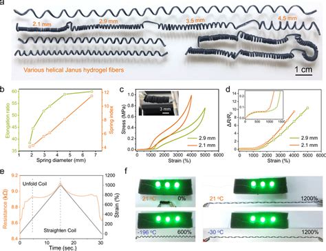 Helical Janus Hydrogel Fiber Conductors Of Extremely Large Deformations