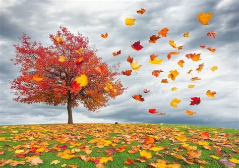 Through Photo Manipulation A Breathtakingly Magical Four Season Tree