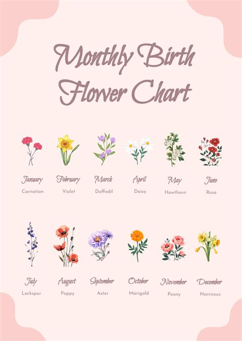 Free Birth Chart Templates Editable And Printable
