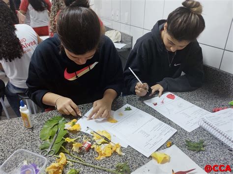 Aula De Botânica 3ª Série Ensino Médio Castro Alves