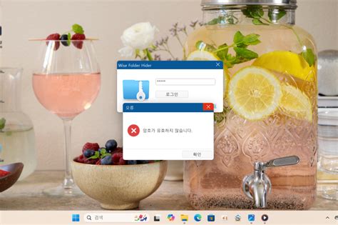 폴더 암호 걸기 설정 방법 wise folder hider 다운로드 네이버 블로그