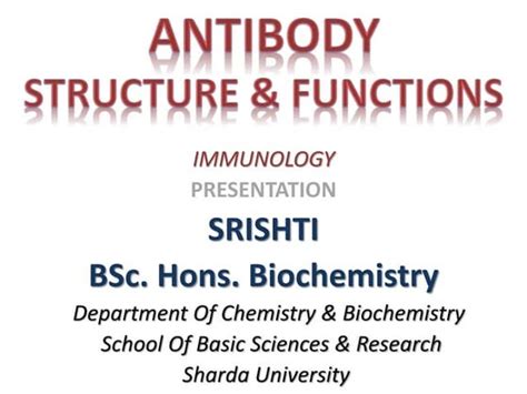 Sex Determination Chromosomal Theory Of Sex Determination Pptx