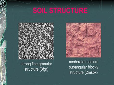 Ppt Understanding Technical Soil Descriptions Powerpoint Presentation Id3215445 Ppt Understanding Technical Soil Descriptions Powerpoint Presentation Id3215445