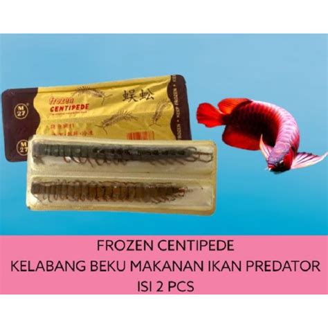 Jual Makanan Ikan Arwana Kelabang Beku Pakan Ikan Predator Isi 2 Khusus Gojek Shopee Indonesia