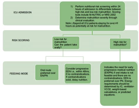 Nutritional Considerations For Icu Patients Part 1 When What And