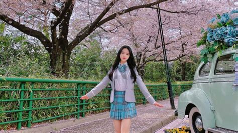 Playlist 🌸동그란 맘속에 피어난 How Is The 벚꽃캐롤🌸 썸녀썸남이랑 벚꽃 보러 갈 때 들으면 몽글몽글해지는 봄노래 모음 Youtube