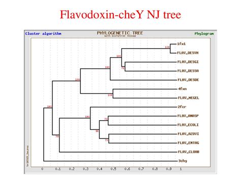 Introduction To Bioinformatics 2007 Lecture Ppt Download