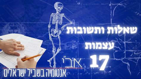 שאלות הכנה למבחן עצמות Youtube