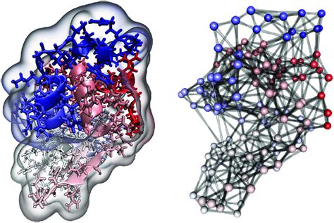 3d Representations Of Lysozyme Pdb 1aki 104 Left Molecular Download Scientific Diagram