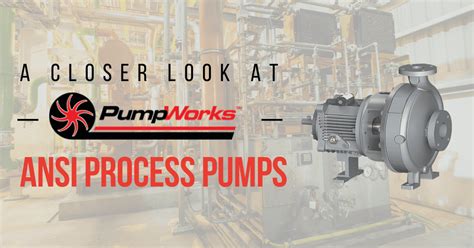 A Closer Look At Pumpworks Ansi Process Pumps Dxp Pacific