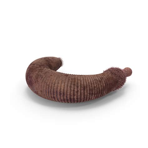 Worm Impregnaton Bithing Hentai Png Images And Psds For Download Pixelsquid