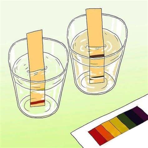 Why And How To Measure Water Ph Renke