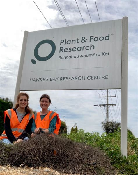 🌱 Vegetative Season 20 In New Zealand 🇳🇿 After Successfully Completing