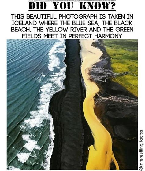 50 Interesting Facts About The World You Probably Didnt Learn At