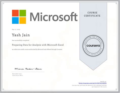 Excel Dataanalysis Coursera Certification Newskills Professionaldevelopment Yash Jain