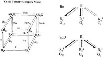 Biased Agonist Hypothesis The Cubic Ternary Complex Model Left 52