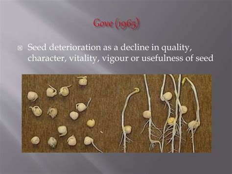 Seed Deterioration Ppt