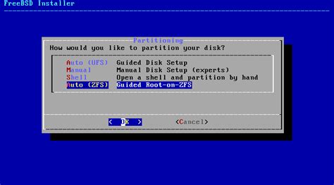 create or expand a zfs mirror in freebsd chris cammack s mostly