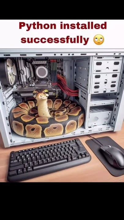 Python Patterns Programming Tutorialytshortsindia Coding Python