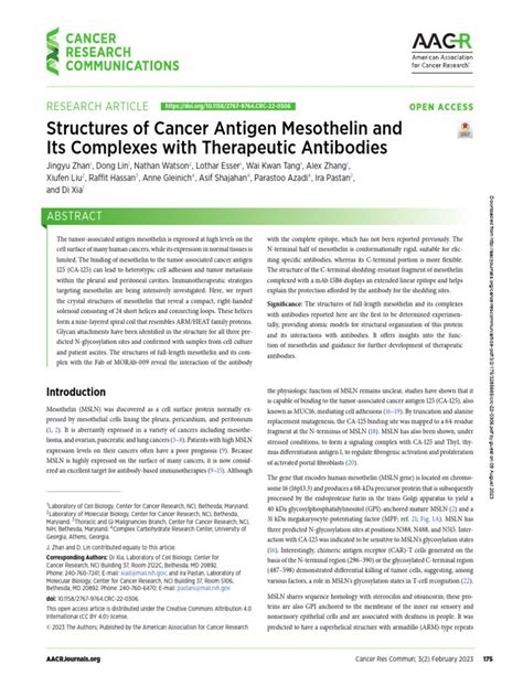 Structures Of Cancer Antigen Mesothelin Download Free Pdf Protein