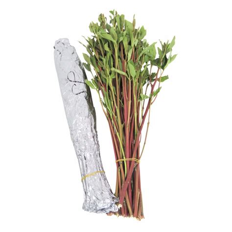 Products גת אביגדור