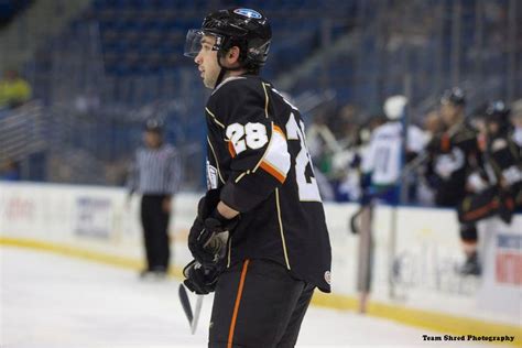 Nick Schaus Alchetron The Free Social Encyclopedia