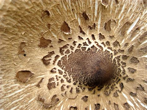 Jon Storey September 2009