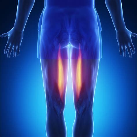 Torn Hamstring X Ray