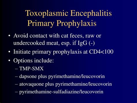 Ppt Chronic Hiv Infection Powerpoint Presentation Free Download Id